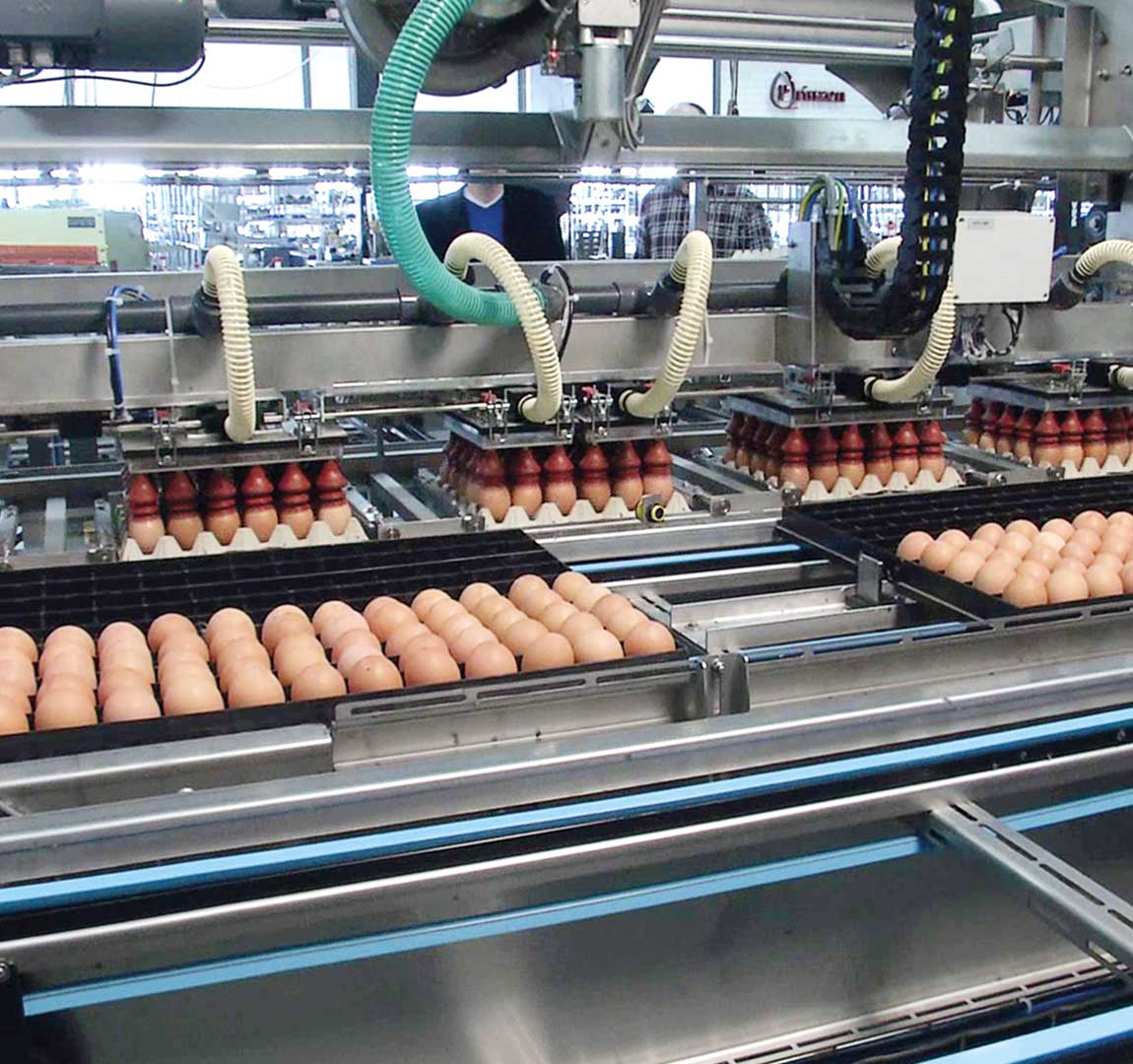 Tray to tray transfer - Vencomatic Group